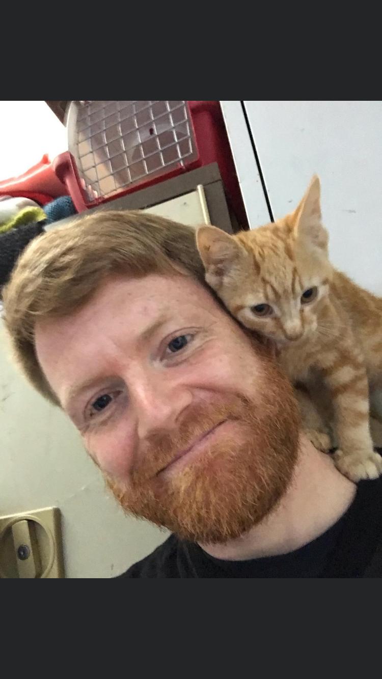 What they are saying - William And The Magic Box